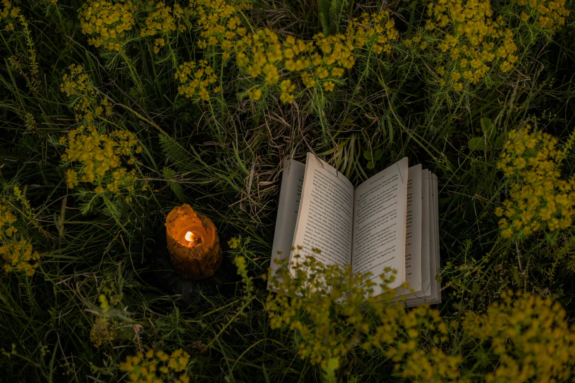 Journaling Prompts for Self-Discovery — iAmEvolving™