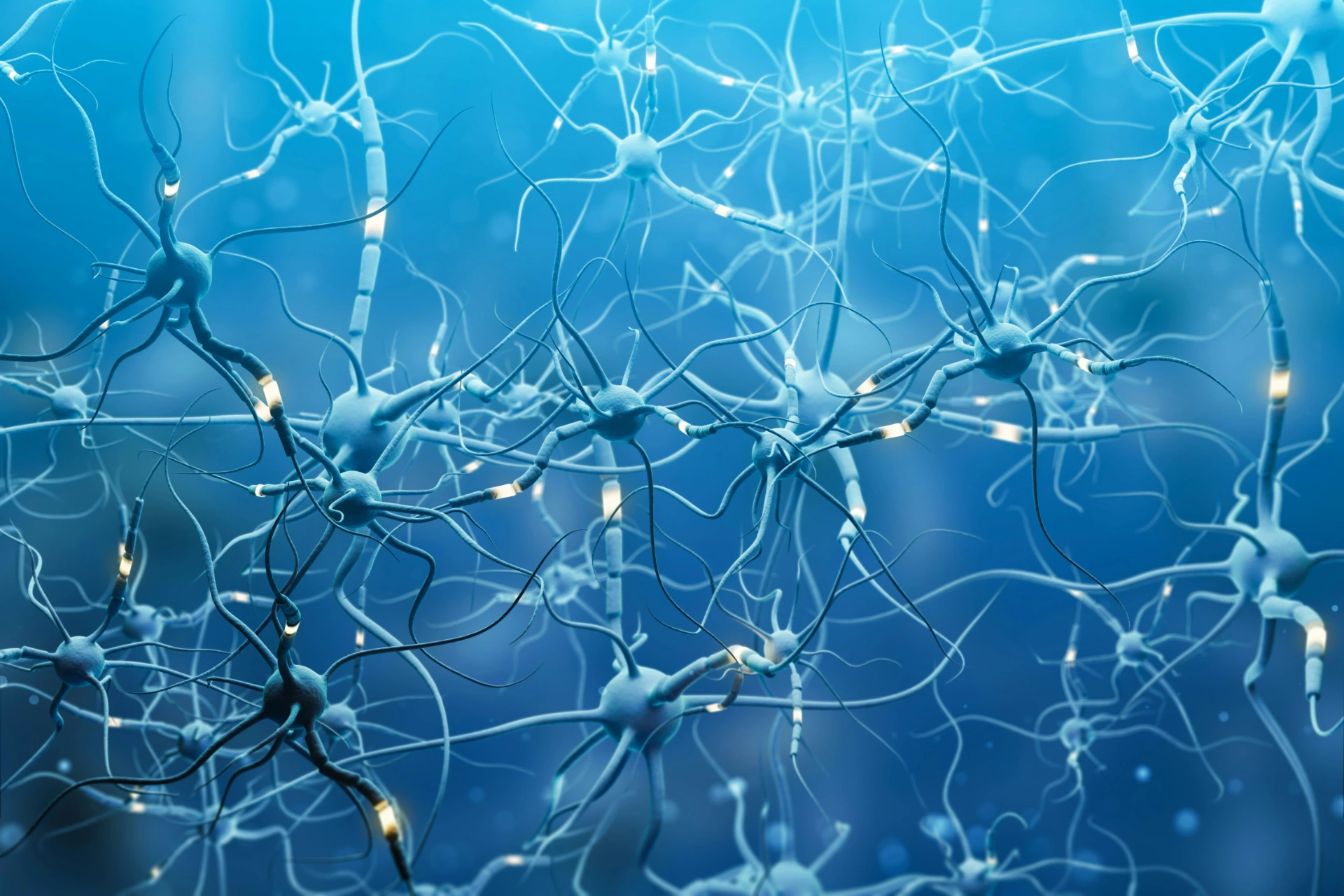 Neuroplasticity Journaling: The Science of Brain Rewiring